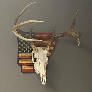 European Deer Mount Plaque Personalized Any State - Etsy