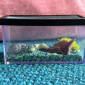 Miniature Cabinet Kit Half Inch Scale 1:24 - Etsy