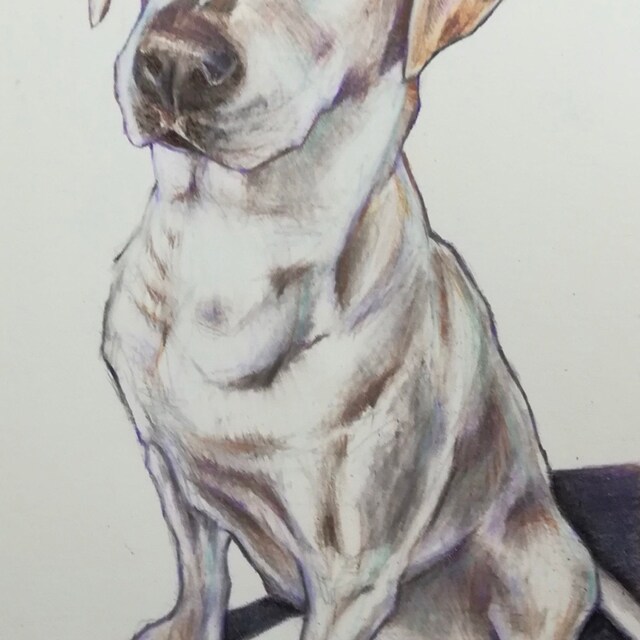JimGriffithsArt - Etsy