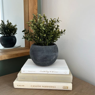 White Book Stack, White Shelf Aesthetic, White Themed Books, Ivory ...