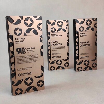 Metal Framed Appreciation Award, Personalized Plaque for Business ...