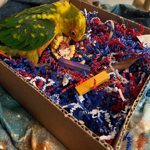 5 Bamboo Firecracker Talon Toys Bird Toys for Pet Parrots by | Etsy