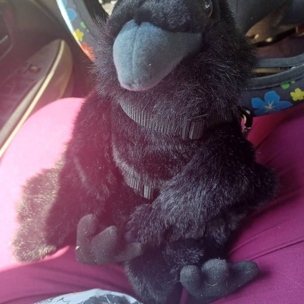 ESSA Raven Crow Emotional Support Plush Stuffed Animal Personalized ...