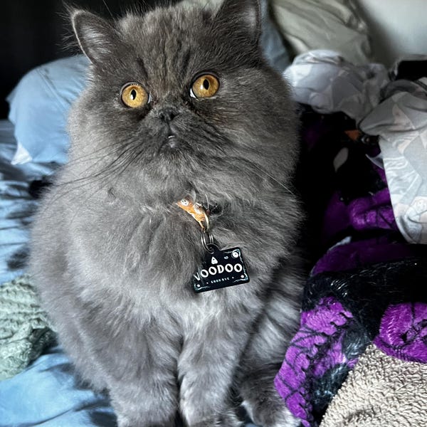 Witchy Pet ID Tag, Custom Personalized Dog or Cat Tags, Mystical Gothic ...