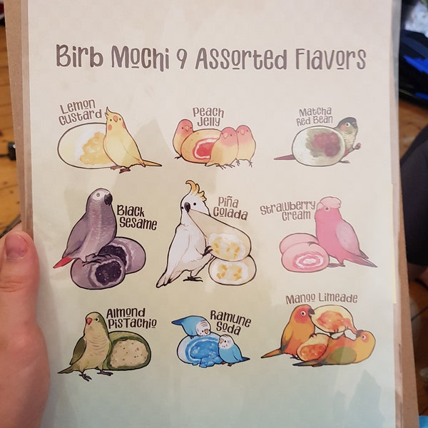 Bird Mochi Poster - Etsy
