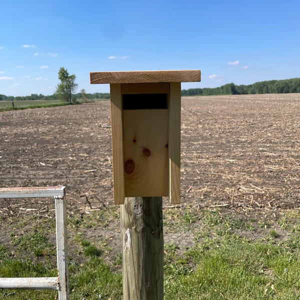 Gilwood Slot Box Bluebird House - Etsy