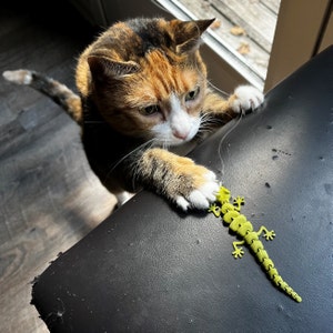 Kitty Lizard Articulated Cat Toy - Etsy