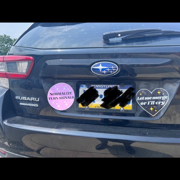 Normalize Turn Signals! Cute Funny Gen Z Meme Vehicle Bumper Magnet Car ...