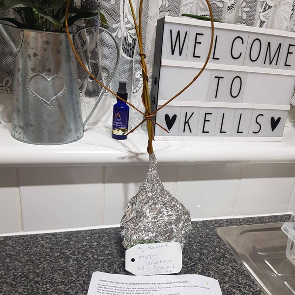 Hedgehog Pond Ramp, Hedgehog Conservation, Pond Decorations, Gardener ...