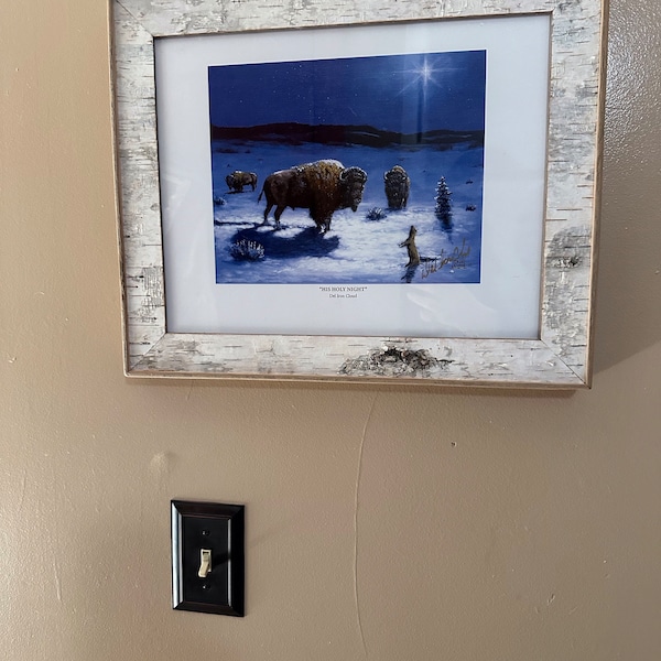 Birch Bark Picture Frame • White Birch • Rustic Farmhouse Decor - Etsy