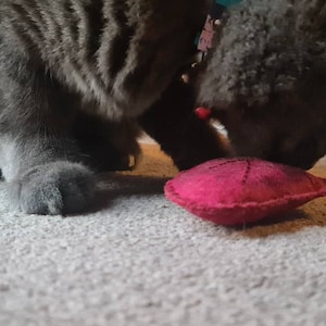 Magical Purple Moon Cat Toy With White Embroidered Stars, Witch Catnip ...