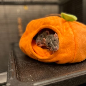 Fleece Scraps Fleece Bedding Fleece Strips Rat Toy - Etsy