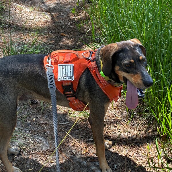 Suspicious Chicken Meme Funny PVC Morale Patch - Etsy
