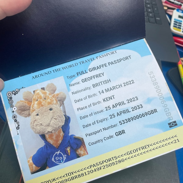 Personalised Toy Passport: Custom Photo & Birth Details - Etsy