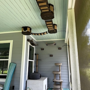 Cat Ceiling 3 Hexagon Shelves, Cat Floating Bridge for Wall, Ceiling ...