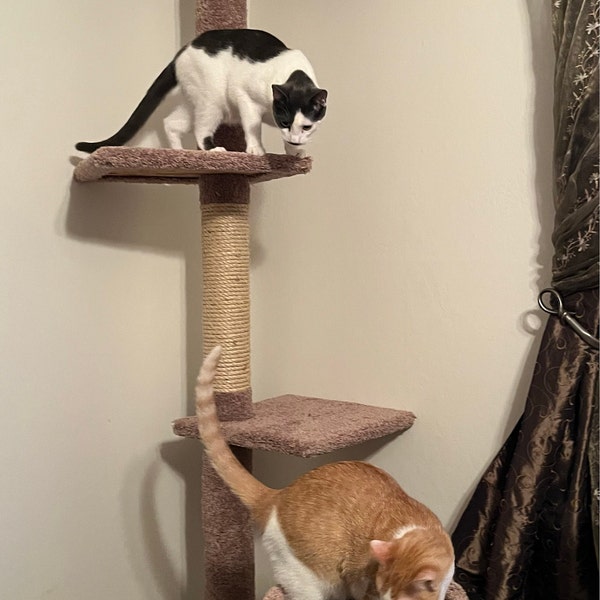 Crows Nest Cat Furniture - Etsy