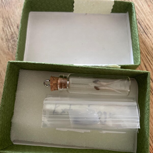 Copperhead Shed Skin - Etsy