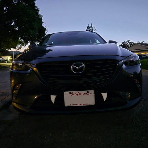 Universal Car Vampire Teeth / Bumper Fangs / Halloween Car Decoration ...