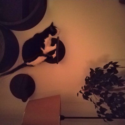 SET HUIZEN voor KATTEN, Modern Cat Furniture, Cadeau voor Cat Lover ...