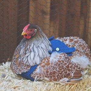 Chicken Sweater Crochet Pattern - Etsy