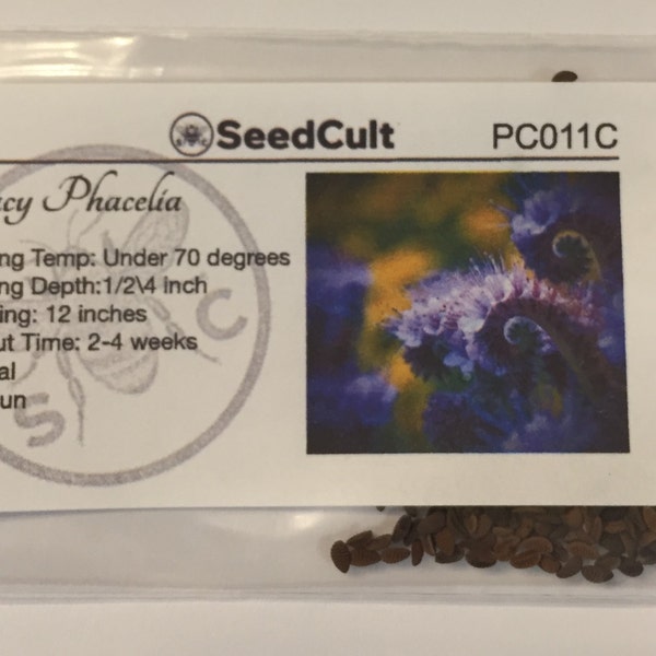 Bulk Best Find Lacy Phacelia Seeds PC011C - Etsy