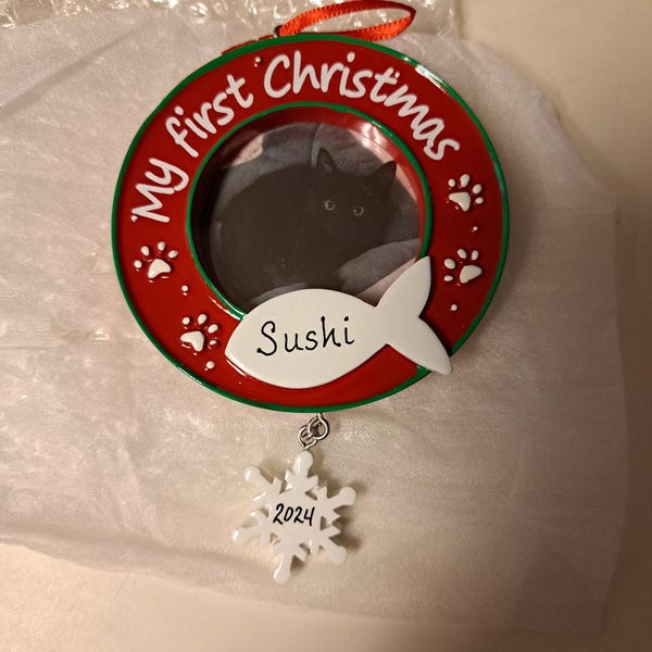 Personalized Mail Carrier Christmas Tree Ornament 2024 | Usps Mailing ...