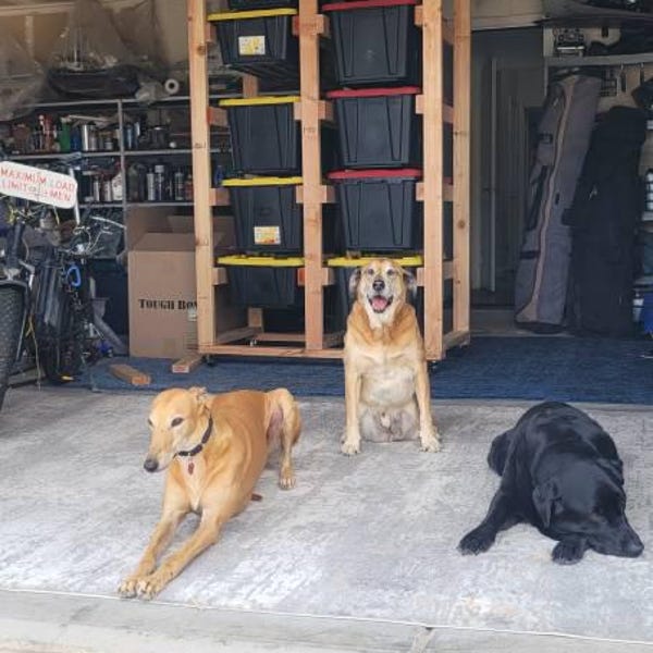 4x5 DIY Rolling Tote Storage and Garage Rack Ideas - Etsy