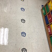 Vinyl Classroom 'paw Print' Line up Number Decals-various Sets ...
