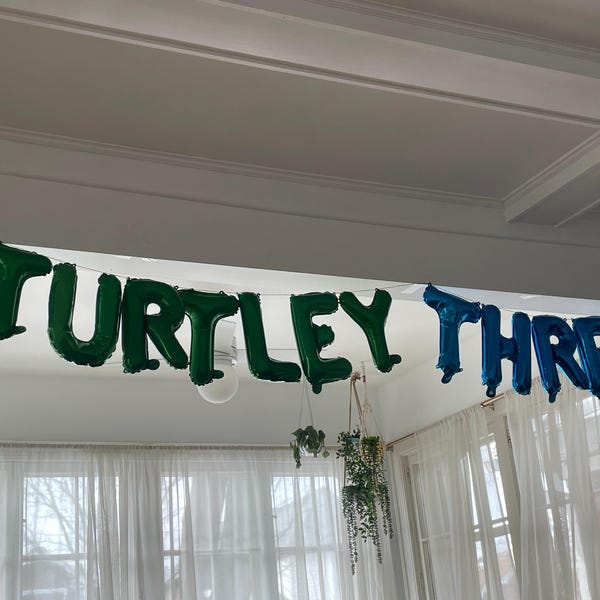 Turtley Two Letter Balloon Kit Turtle 2nd Birthday Party Decorations ...