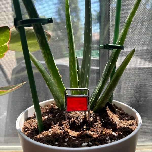 Set of Three Mini PLANT STAKES - Stained Glass - Triple Triple - Etsy