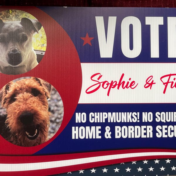 Personalized Pet Political Yard Sign, Funny Political Sign, Cat Yard ...
