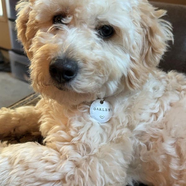 Custom Hand Stamped Dog Tags - Simple Handmade Pet Id Tag - Metal ...