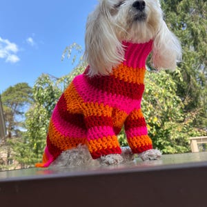Turtleneck Long Sleeve Crochet Dog Sweater Sweater for Dog Custom Made Handmade. Crochet Sweater Personalized Dog Sweater Etsy