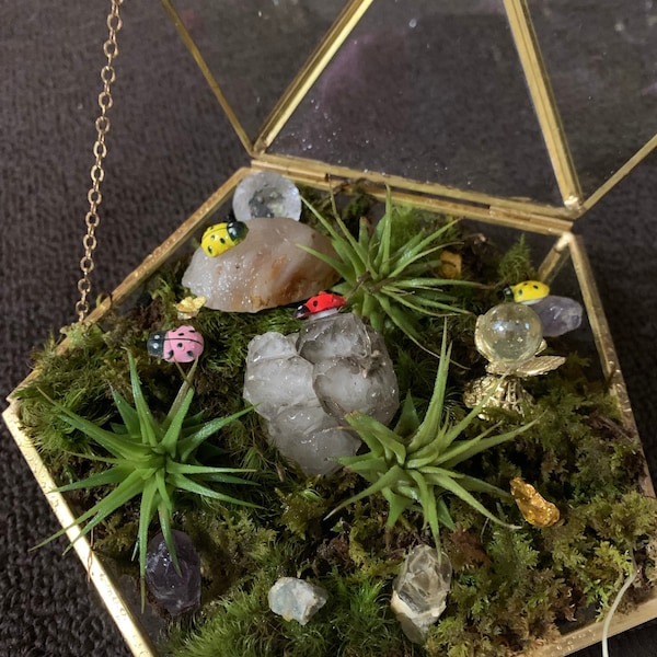 Mini LIVE Crystal Garden Terrarium - Etsy
