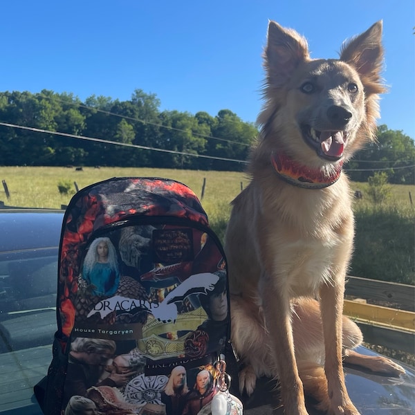 Personalized Photo/name Backpack, Custom Face Lunch Bag Set, With Photo ...