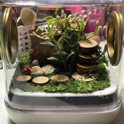 Mini Beach Scene in Clam Shell Mini Ocean Scene Sea Turtle - Etsy