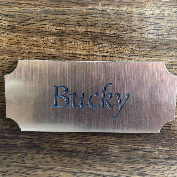 Custom Engraved Buck Plaque With Antlers Gold Silver or Copper Name ...
