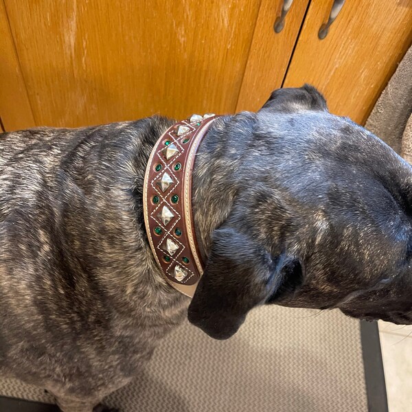 Wide 2 Inch Luxury Soft Padded Leather Dog Collar for Large Dogs ...