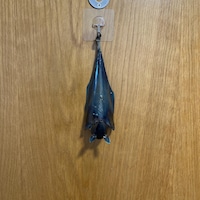 Hanging Metal Closed Wing Bat. Bats. Hanging Garden Outdoor Indoor ...