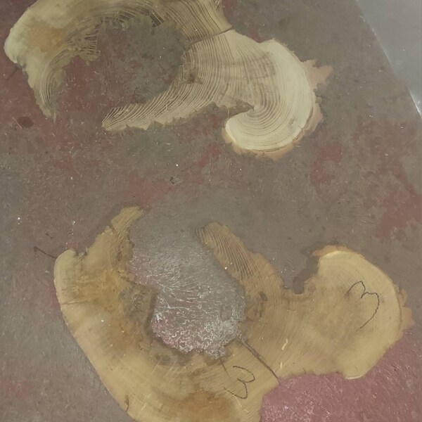 1982 Error Die Crack Lincoln Penny No Mint Mark Struck off Center DDO ...