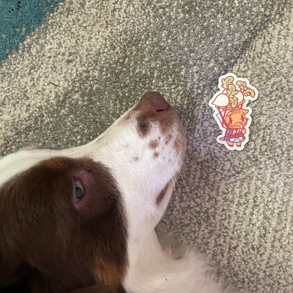 DAISY MAE — Vinyl Sticker - Etsy