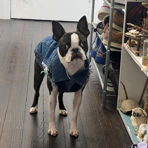 Denim Dog Jacket / Denim Dog Vest /dog Coat / Dog Denim / Dog Vest ...