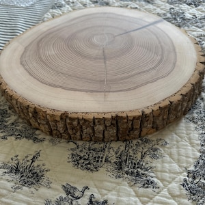 Natural White Birch Logs for Decorating multiple Quantities and Sizes ...