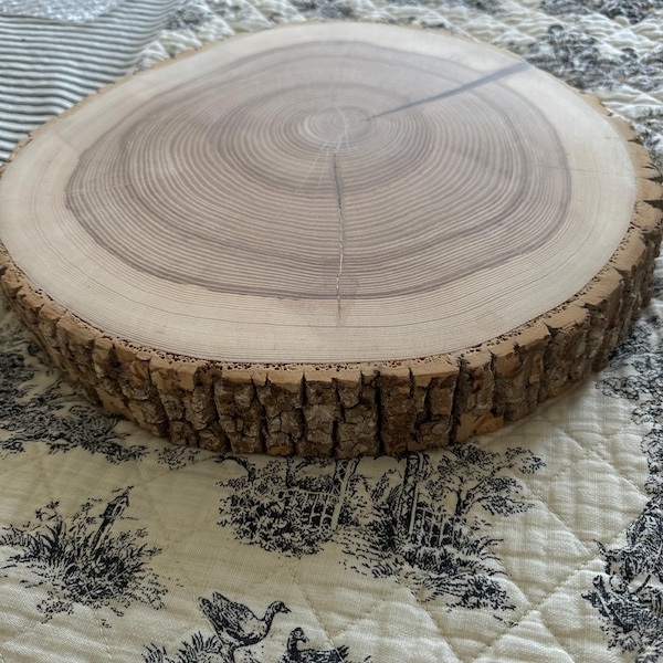 Large Wood Slices, Thick Wood Disks, Wood Slab Centerpiece, Live Edge ...