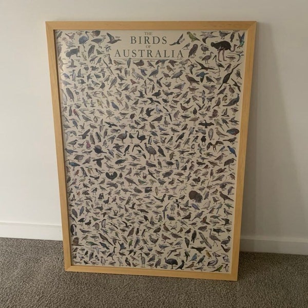 The Birds of New Zealand Hand-illustrated / Kiwi Wildlife Educational ...