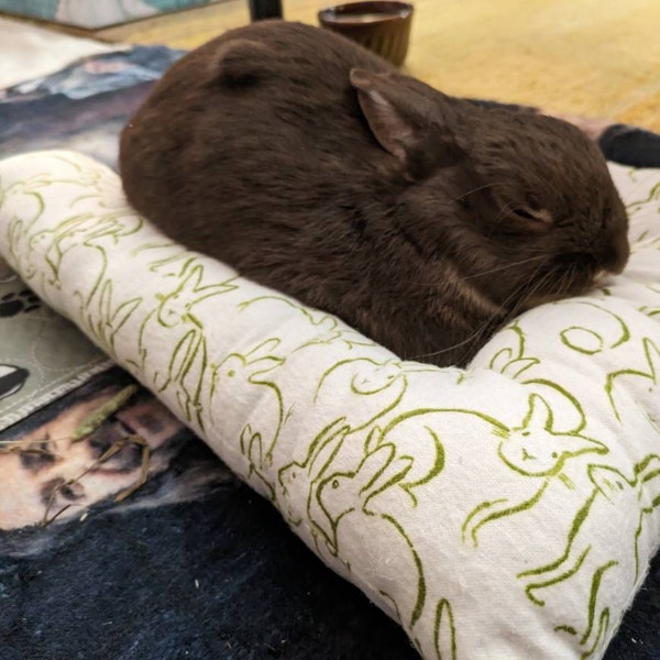 Bunny Rabbit Bed, U-shaped Pillow, Bunsnoozer - Clearance Mystery ...