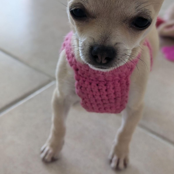 Crochet Dog Harness, 100% Cotton, Handmade Crochet Dog Harness, Crochet ...