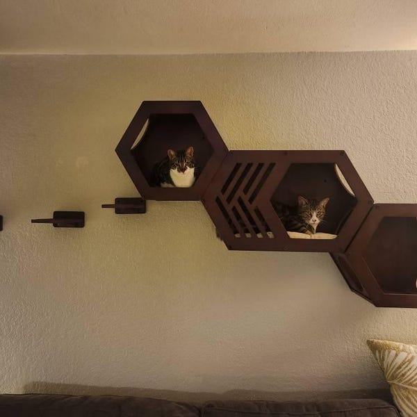 Set Cat House, Hexagon Cat Shelf, Modern Cat Wall Furniture, Hexagonal ...