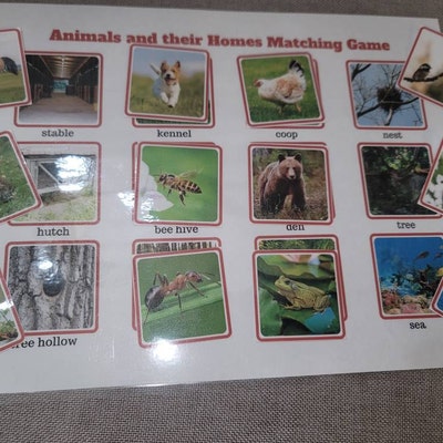 Animals Skin Matching Game Printable Homeschool Learning Educational ...