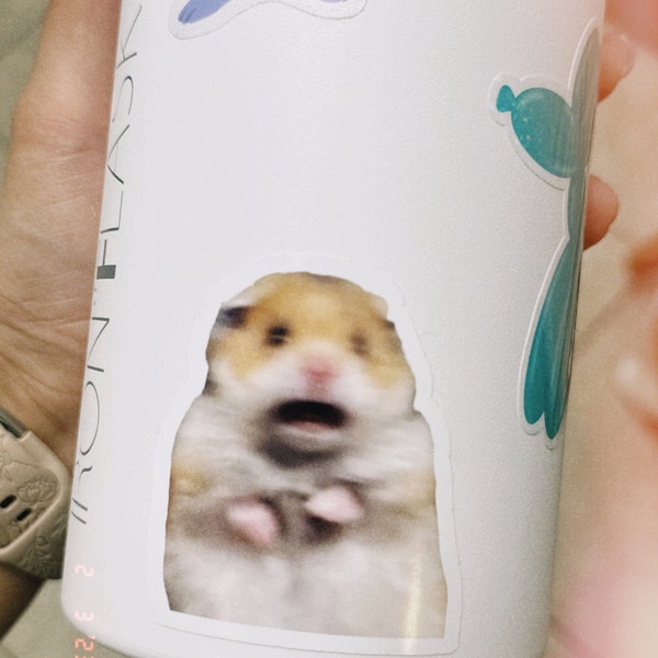 Surprised Shock Hamster Meme Funny Car Bumper Sticker Interior or ...